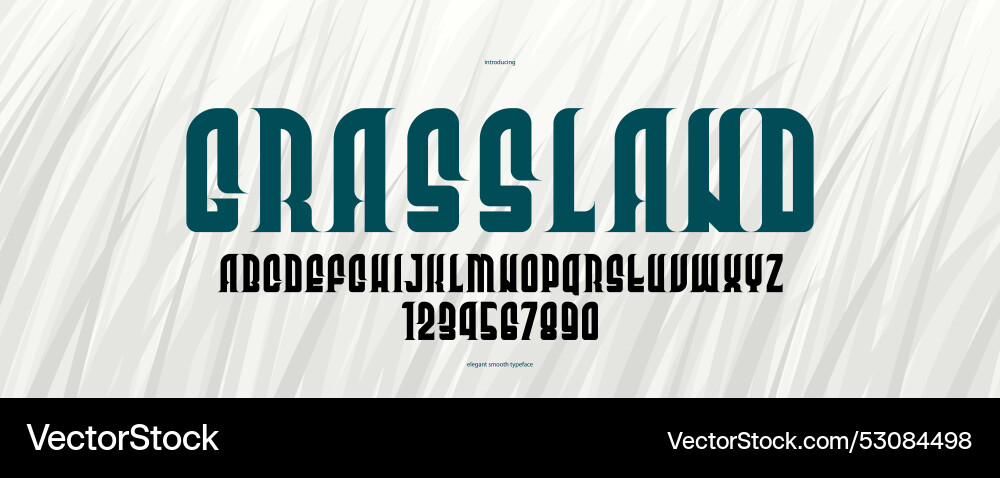 Modern luxury font elegant display typeface in Vector Image