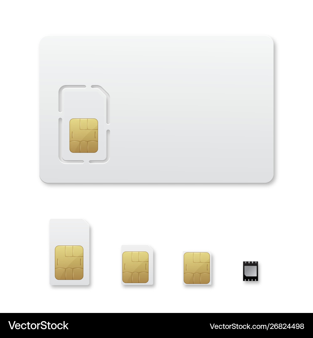 Sim card types realistic set Royalty Free Vector Image