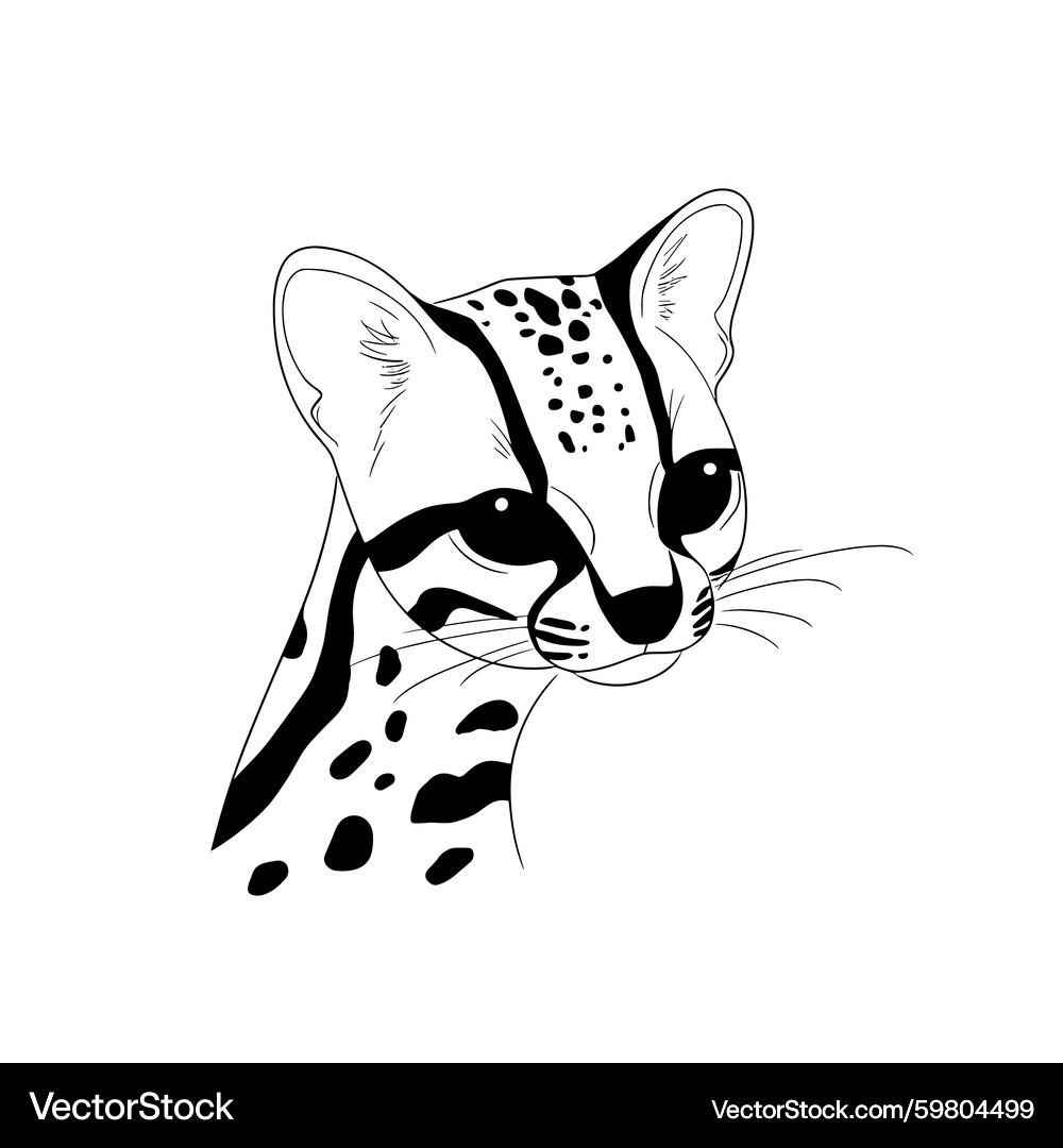 Ocelot simple black and white line art logo Vector Image