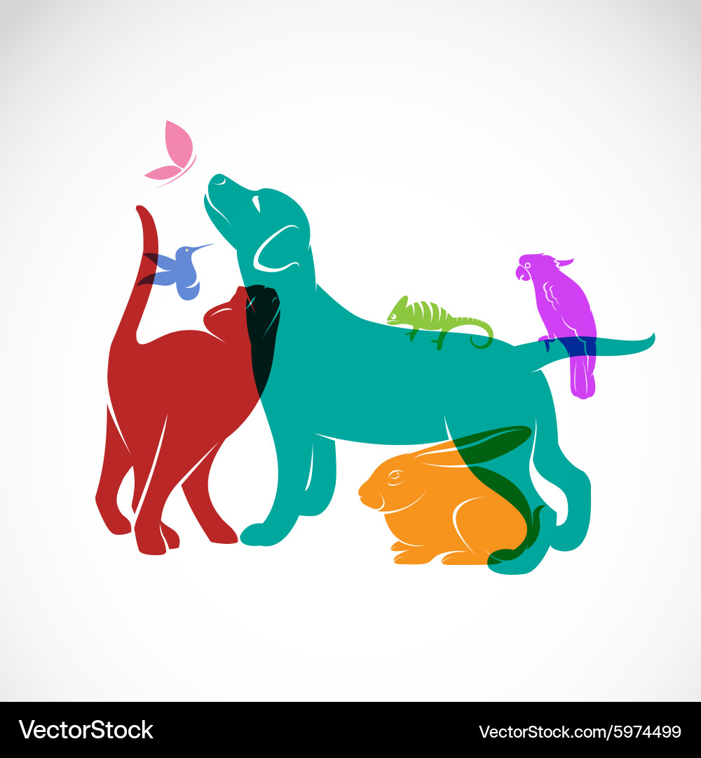 Pets Royalty Free Vector Image - VectorStock