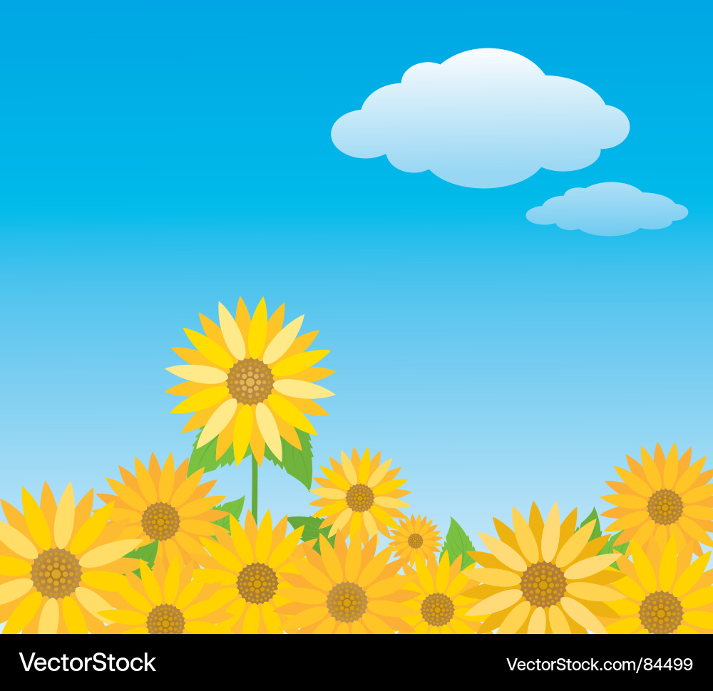 Vibrant Sunflower Field Royalty Free Vector Image