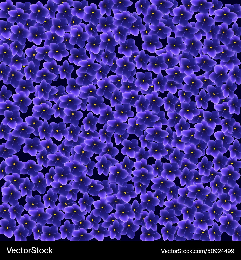 Violets on a dark background Royalty Free Vector Image