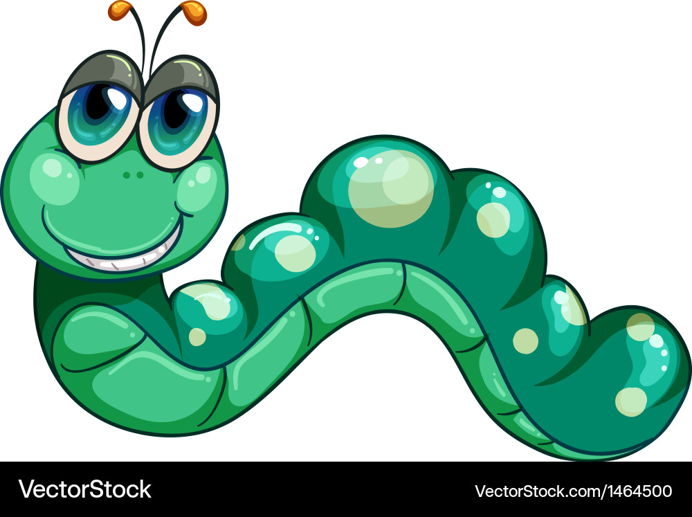 A green worm Royalty Free Vector Image - VectorStock