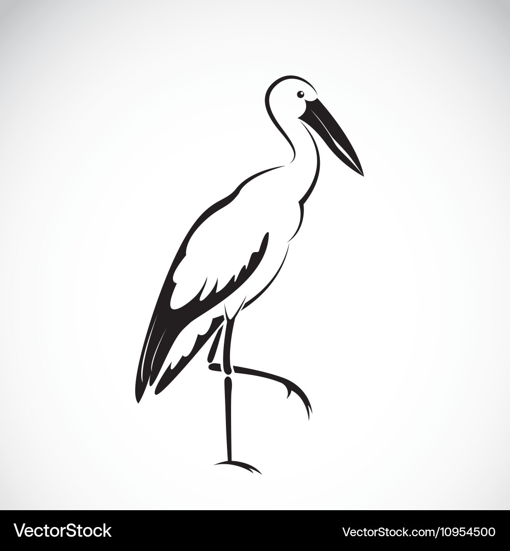 Stork Royalty Free Vector Image - VectorStock