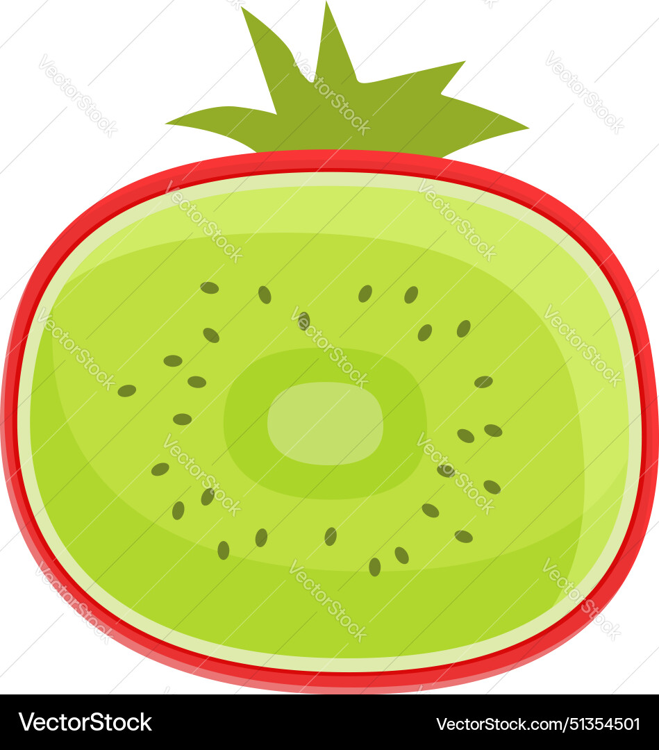 Fresh kiwi slice Royalty Free Vector Image - VectorStock
