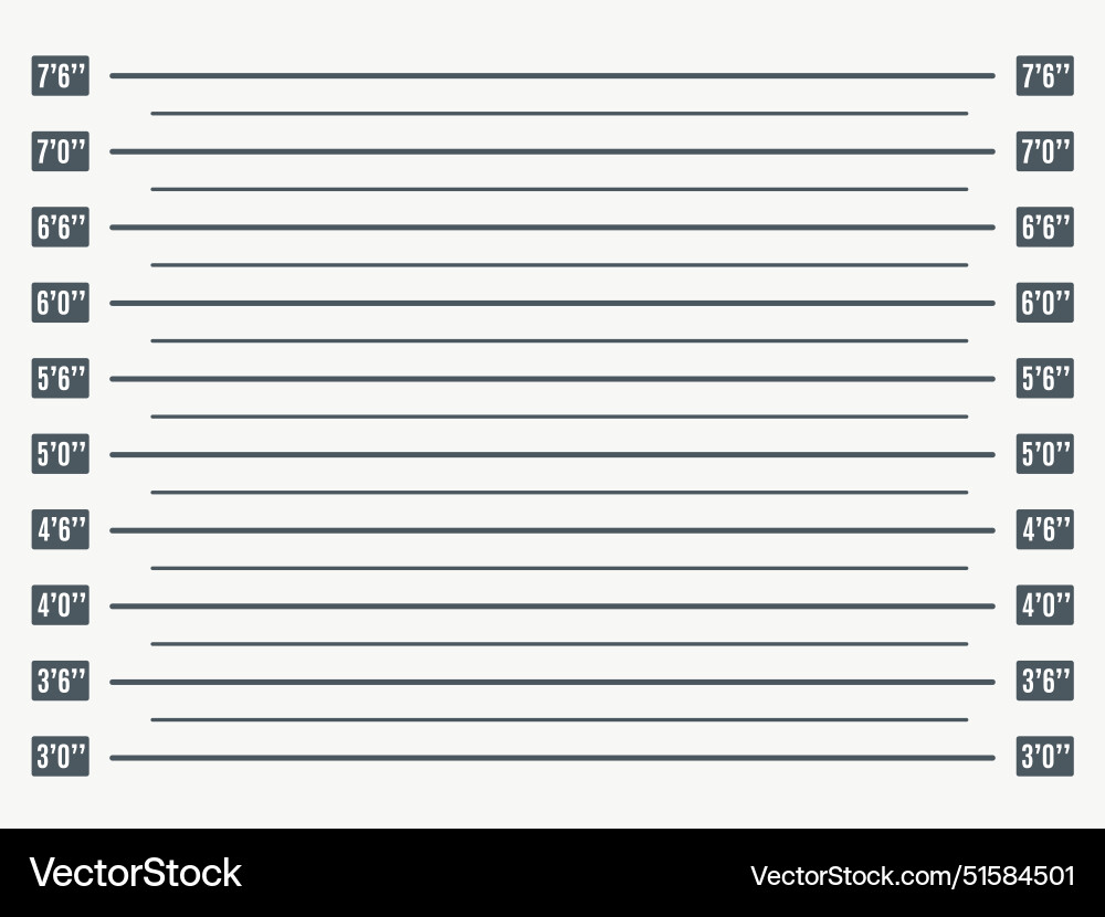 Mugshot lineup prison photo booking backdrop Vector Image