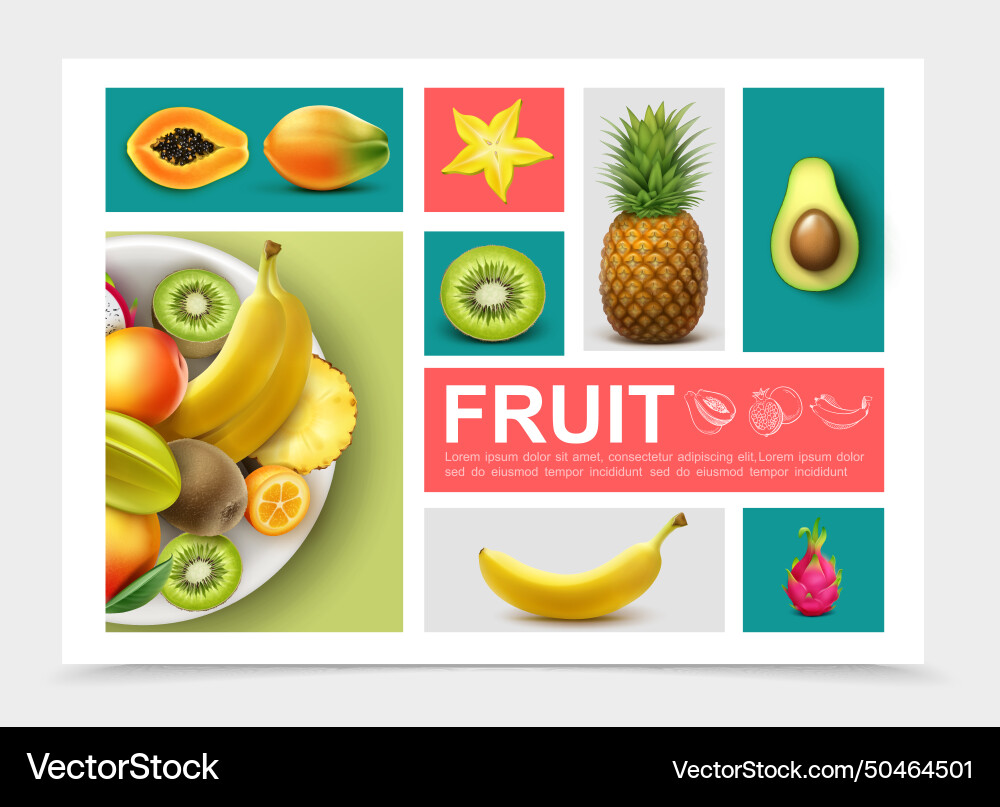 Realistic exotic fruits set Royalty Free Vector Image