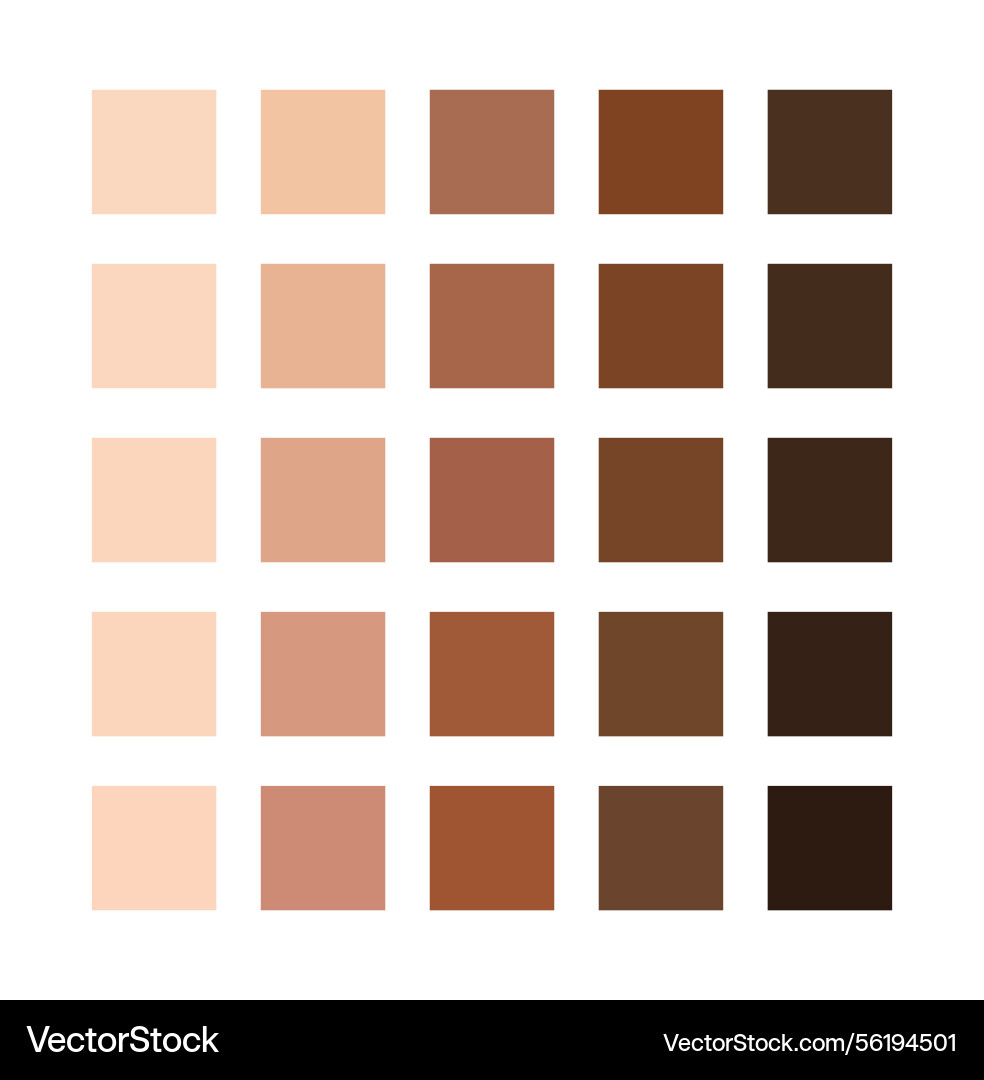 Skin tone color palette Royalty Free Vector Image