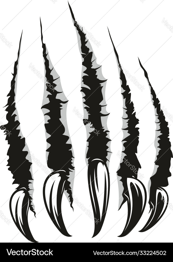 Animal claws scratches trace torn slashes texture Vector Image