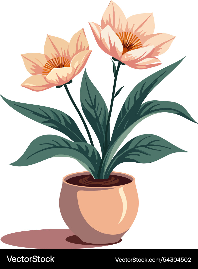 Modern potted plant design for trendy home decor Vector Image