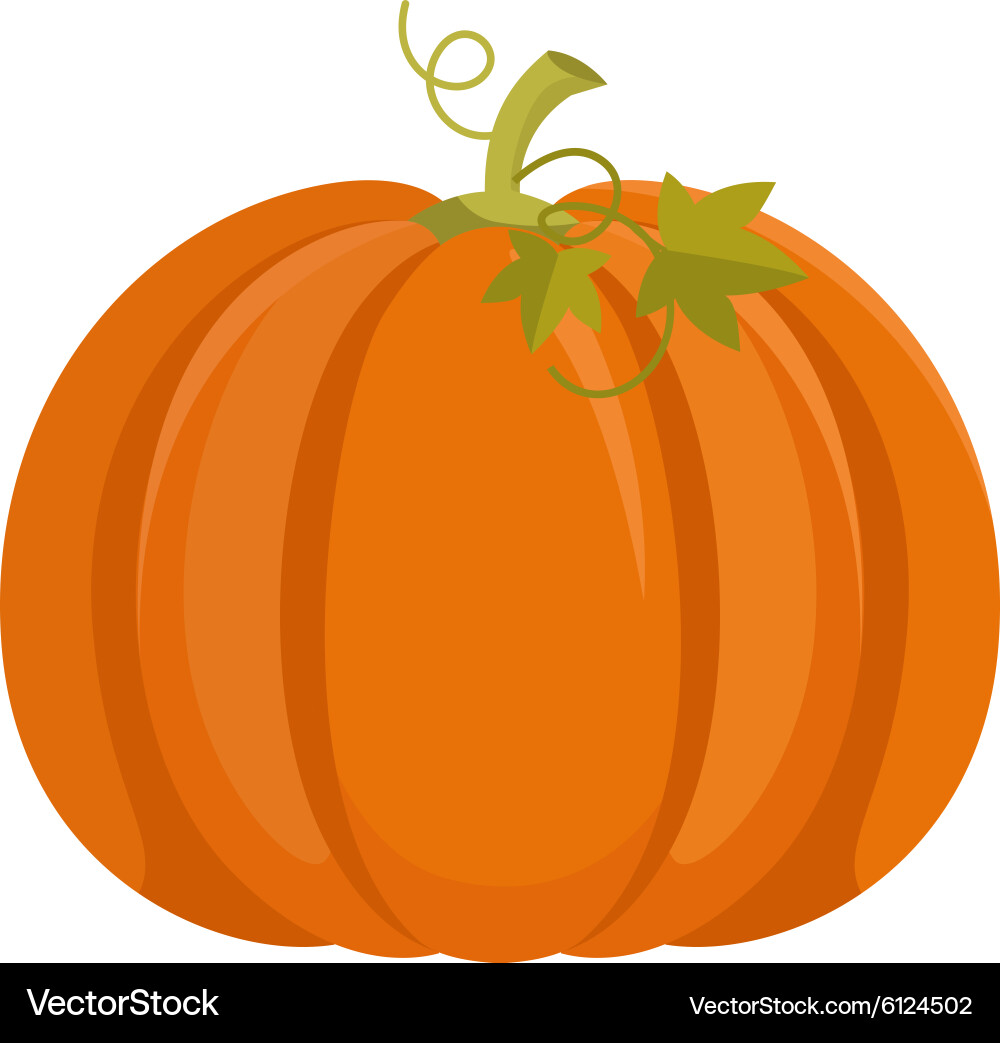 Pumpkin isolated on white background Royalty Free Vector