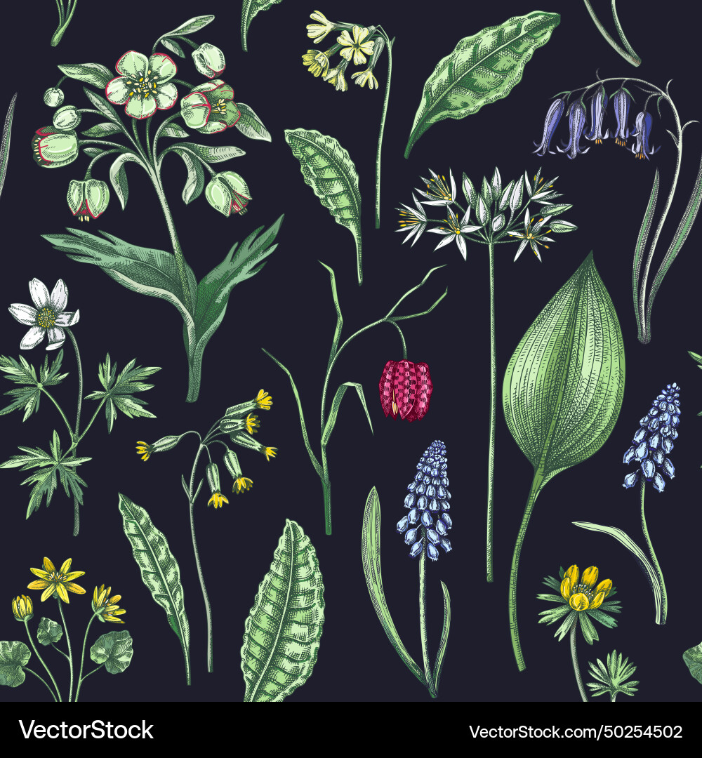 Spring flowers seamless pattern wildflowers Vector Image
