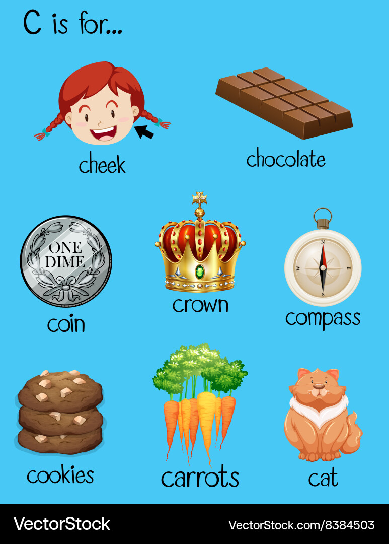 Different words for letter c Royalty Free Vector Image