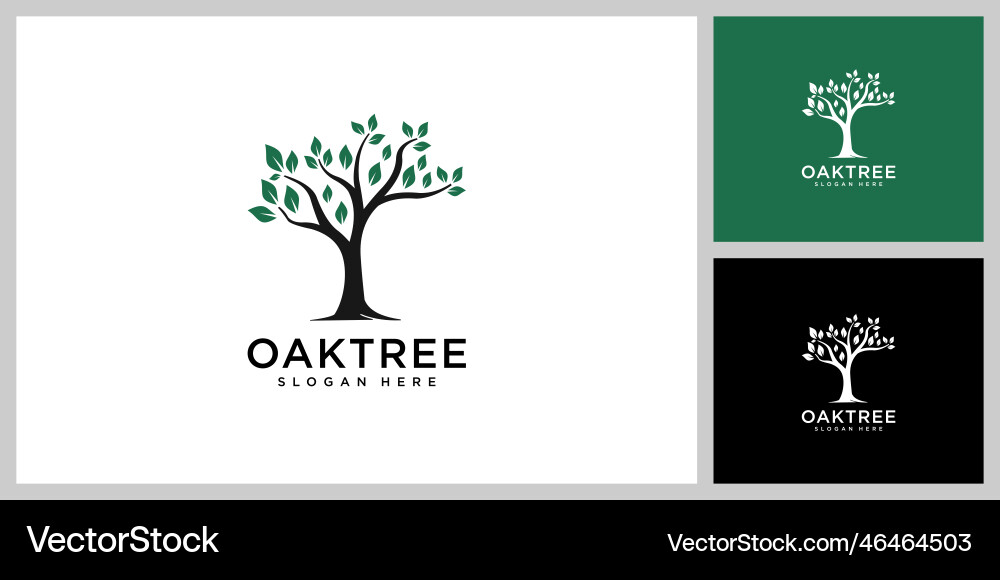 Oak tree logo design template Royalty Free Vector Image