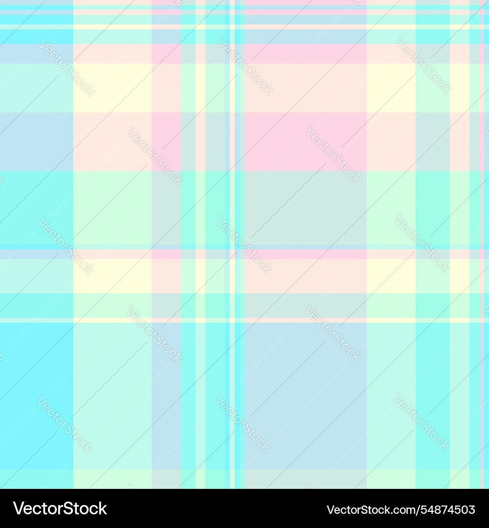 Panjabi check plaid tartan perfection pattern Vector Image