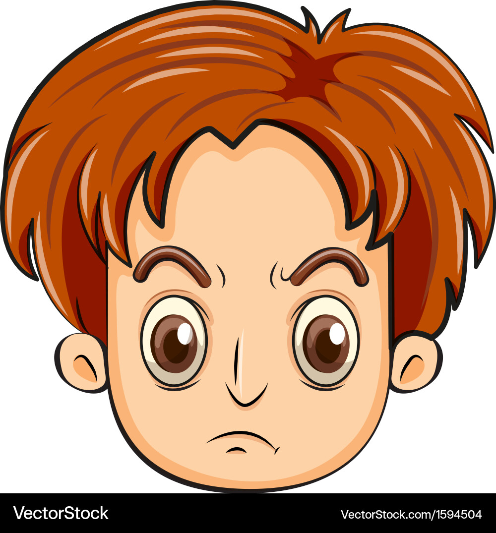 A head of an angry man Royalty Free Vector Image