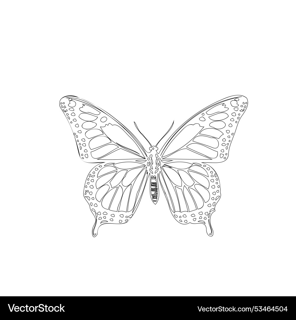 Butterfly animal outline sketch Royalty Free Vector Image