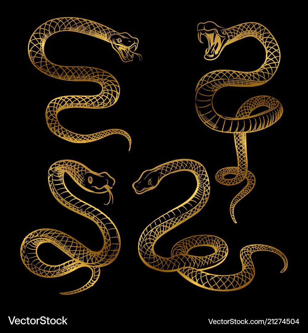 Golden snake set hand drawn snakes Royalty Free Vector Image