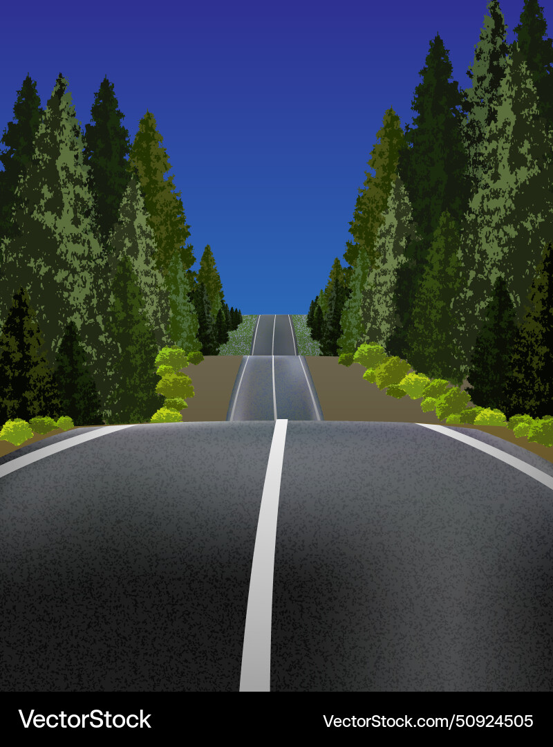 Road in the forest Royalty Free Vector Image - VectorStock