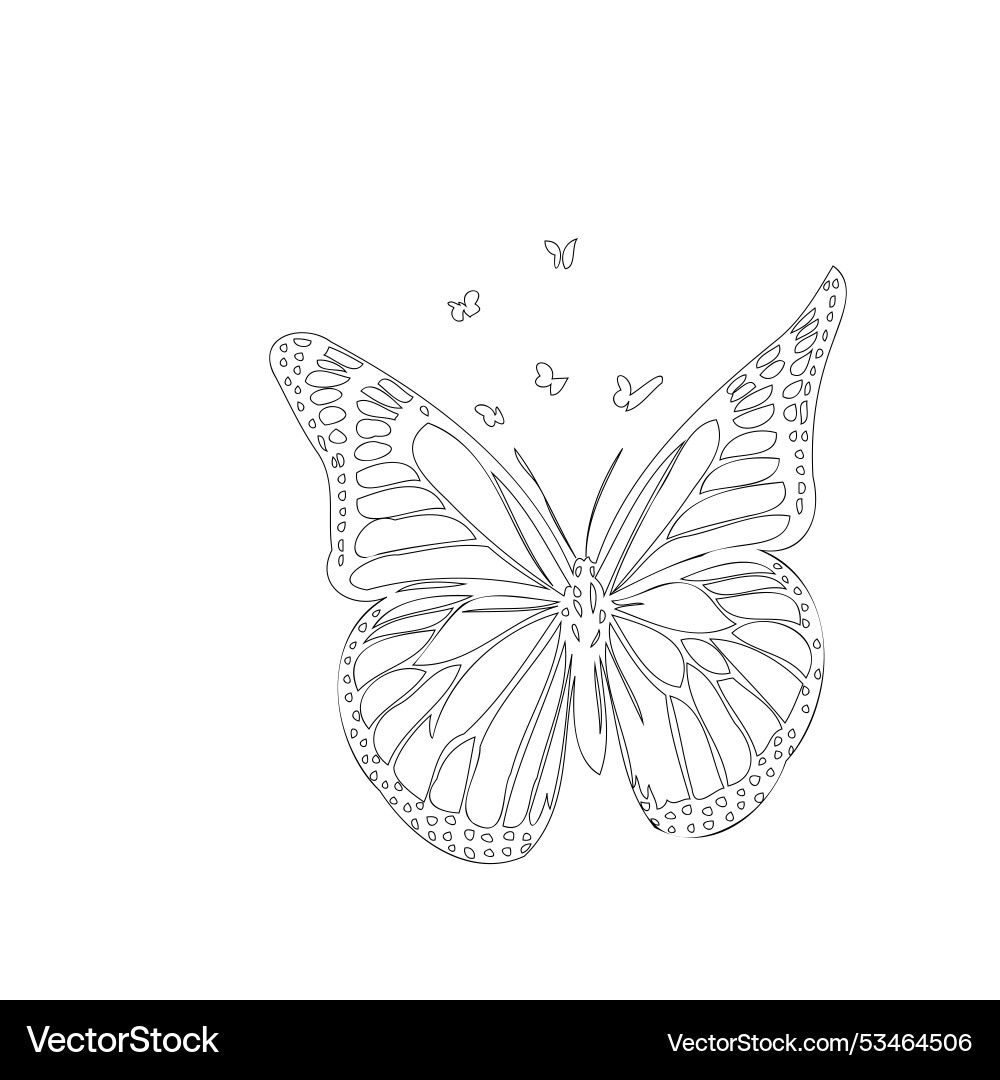 Butterfly animal outline sketch Royalty Free Vector Image