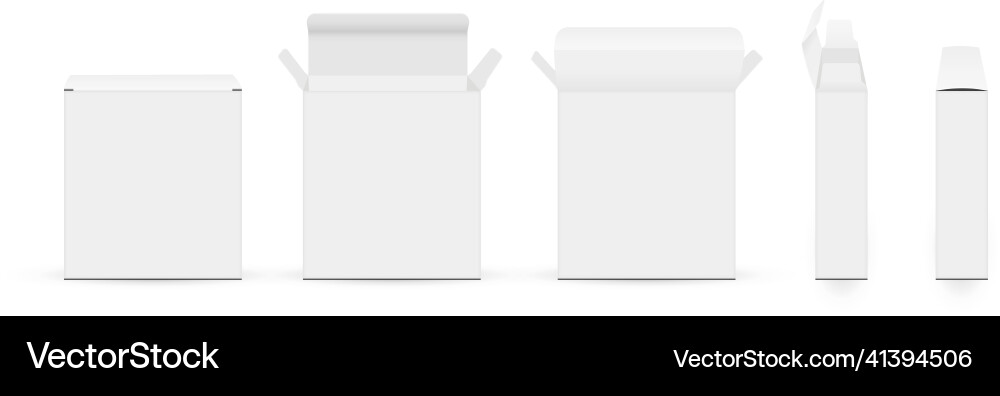 Rectangular slim paper packaging boxes mockups Vector Image