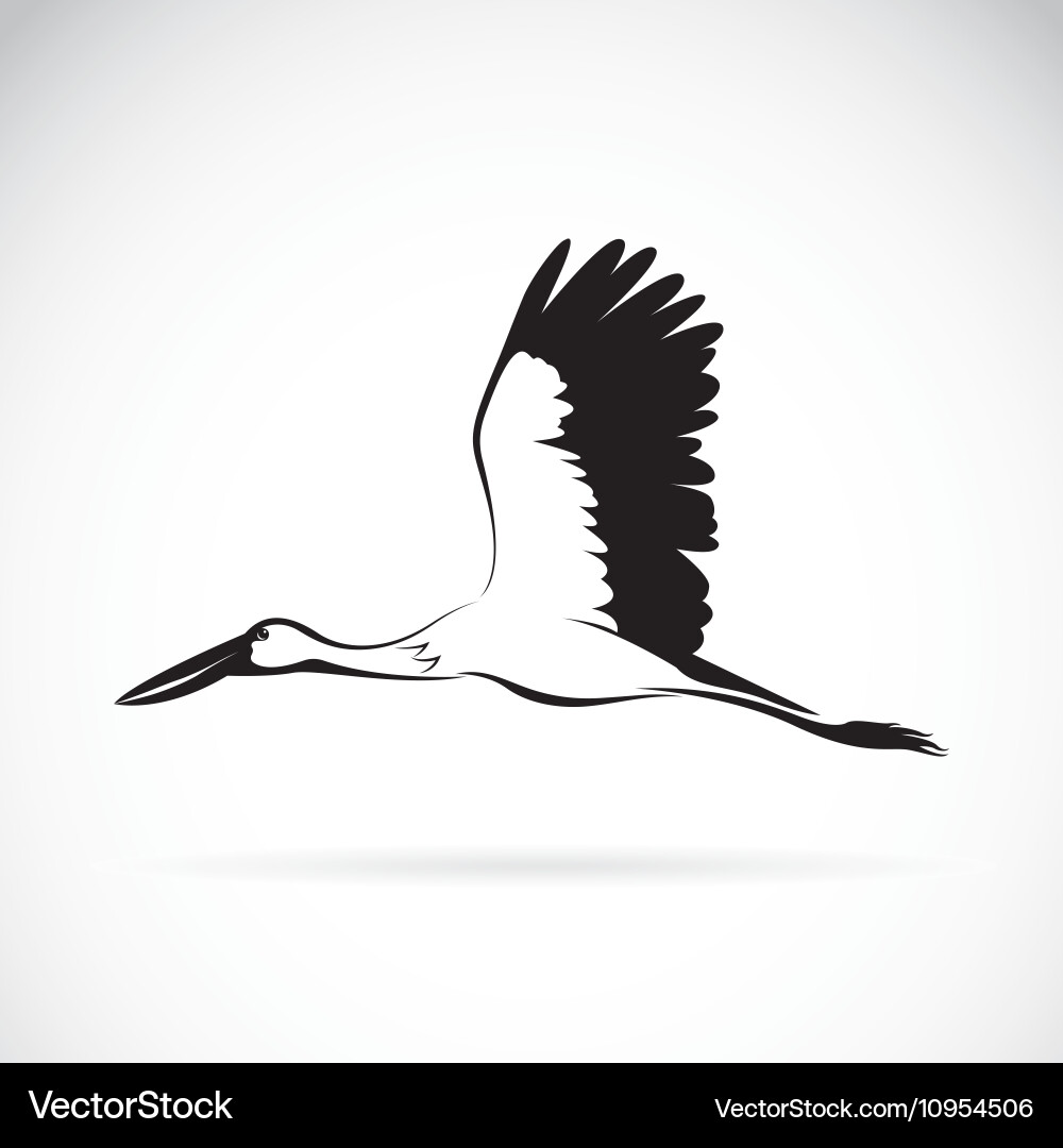 Stork flying Royalty Free Vector Image - VectorStock