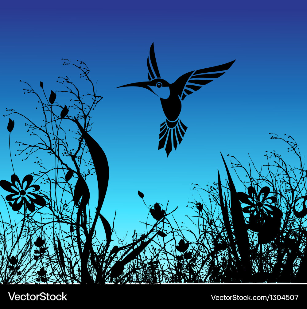 Birds and flowers Royalty Free Vector Image - VectorStock