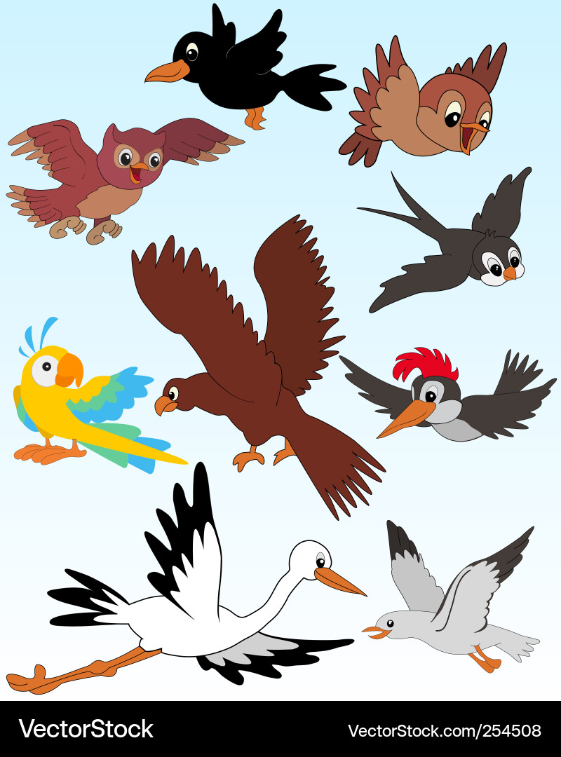 Birds Royalty Free Vector Image - VectorStock