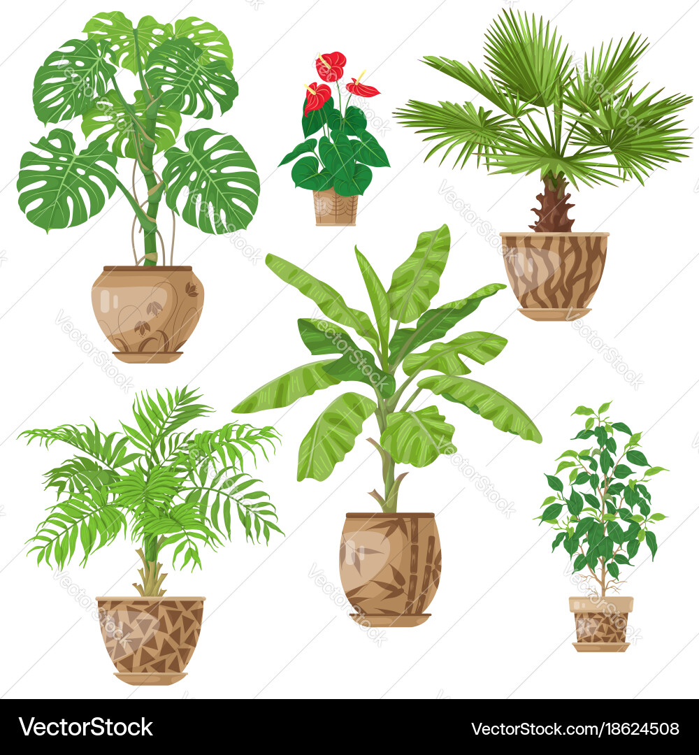 Potted plants set Royalty Free Vector Image - VectorStock