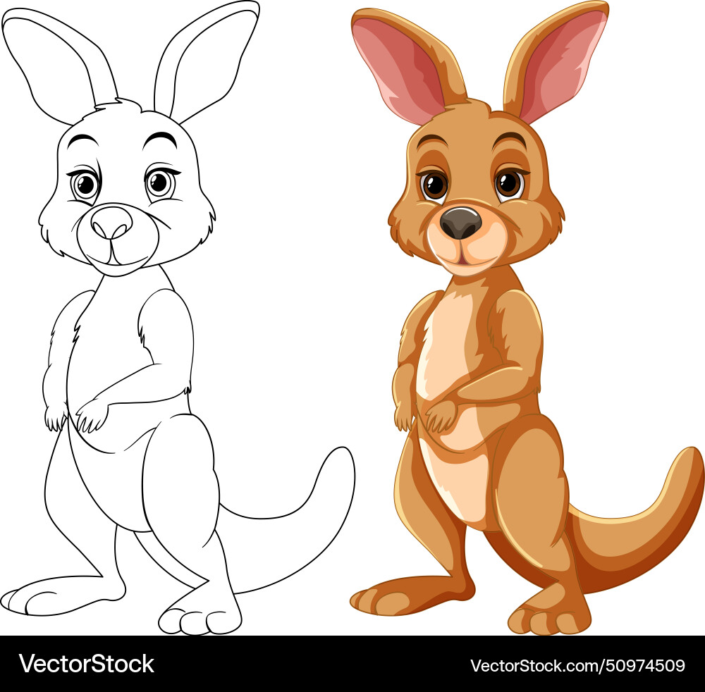 Transition from line art to full color kangaroo Vector Image