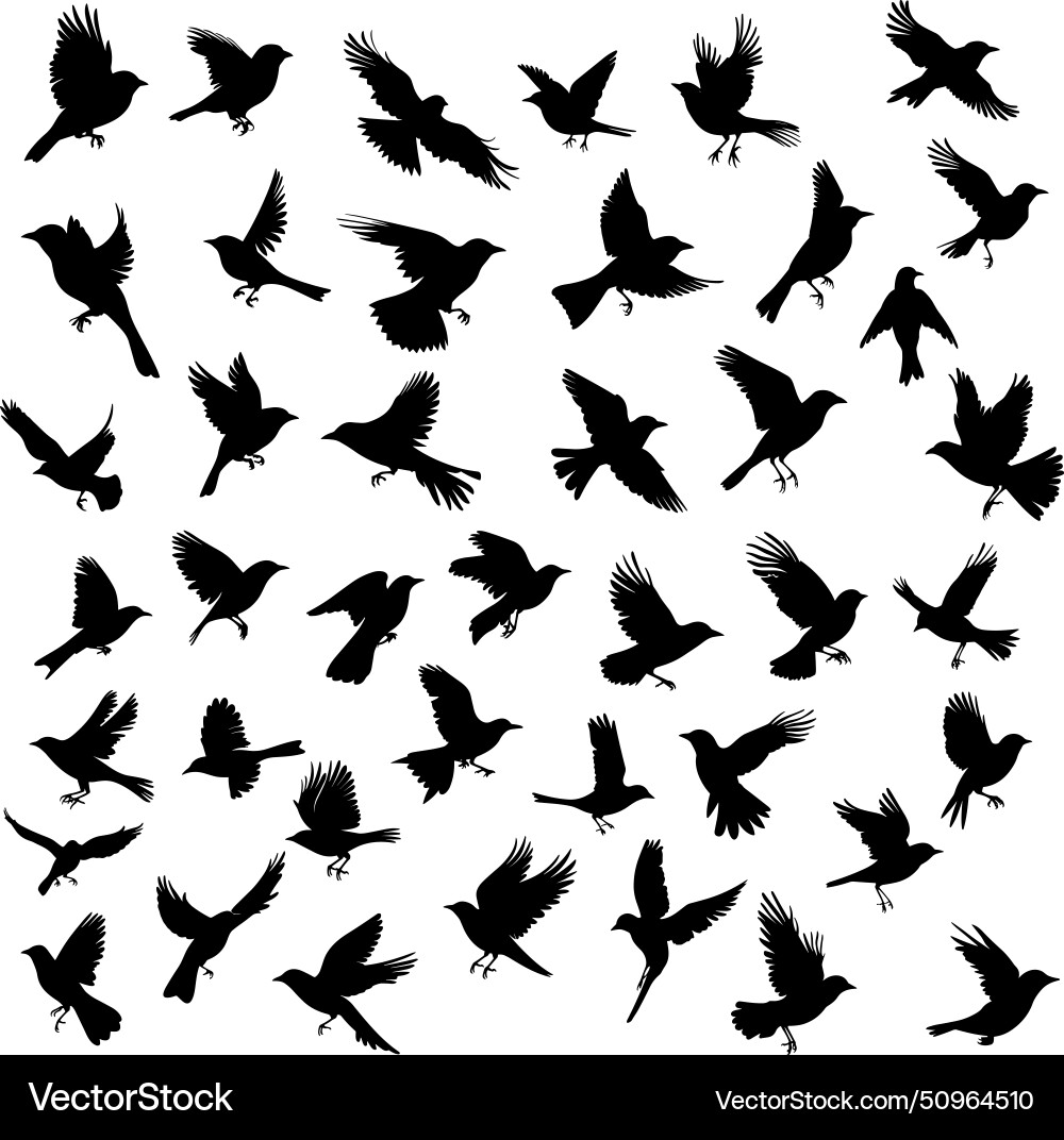 Flying birds silhouettes different bird shapes Vector Image