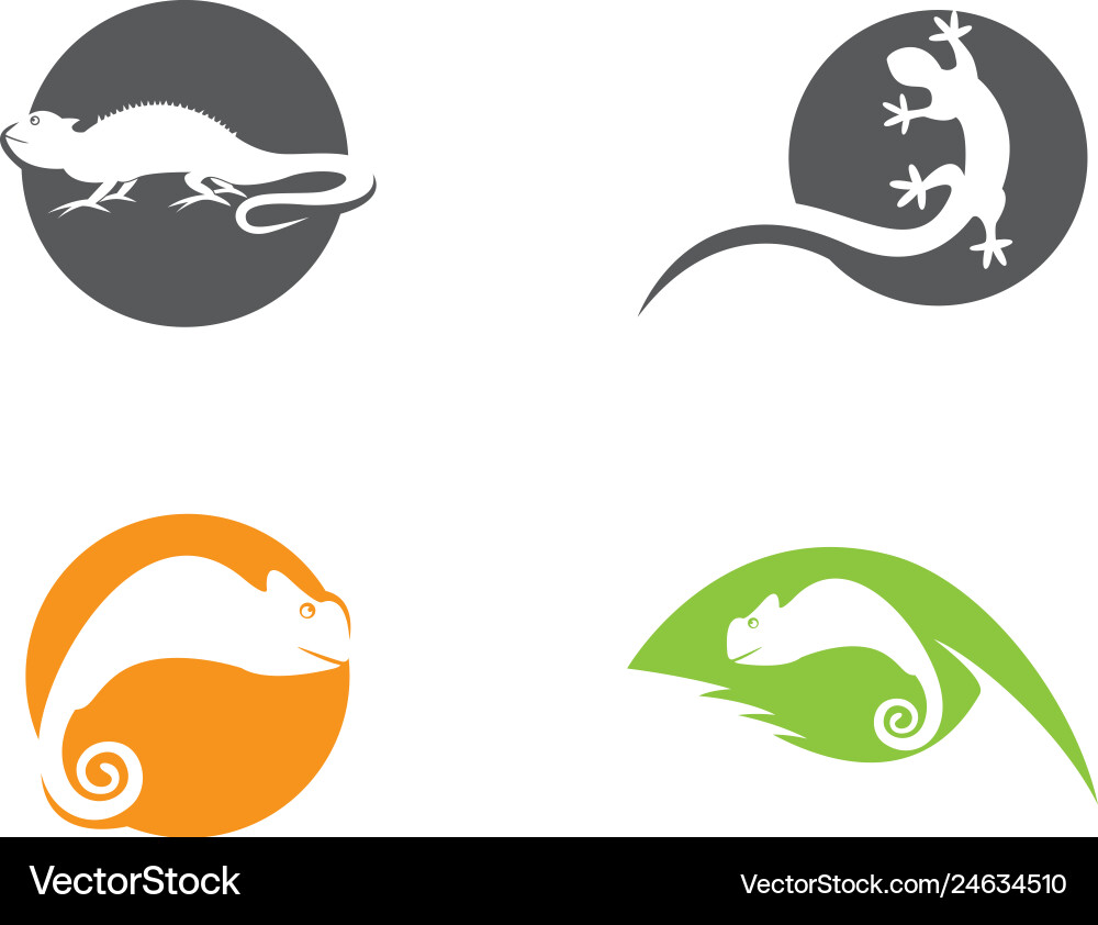 Lizard logo template Royalty Free Vector Image