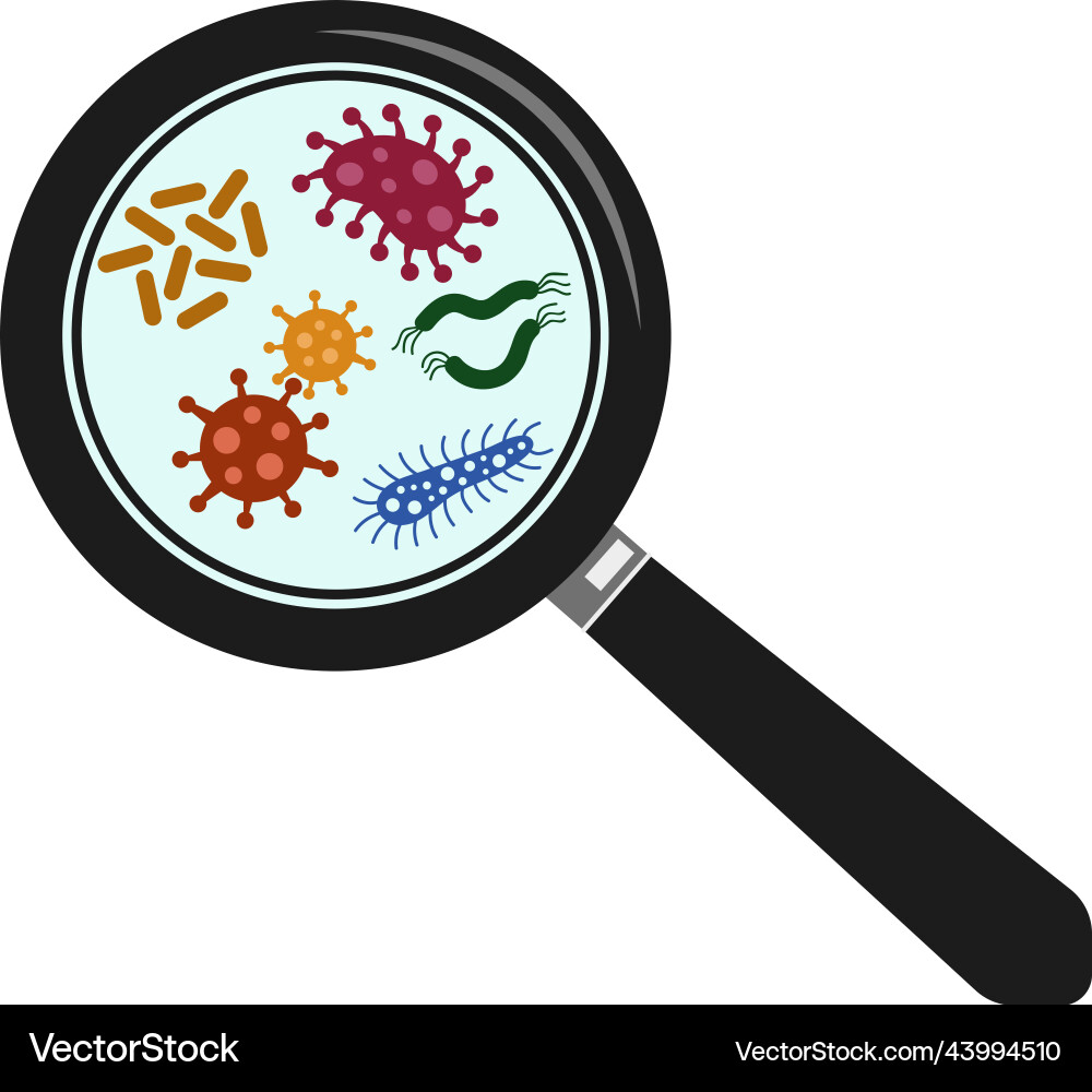 Microbes under magnifying glass biology research Vector Image