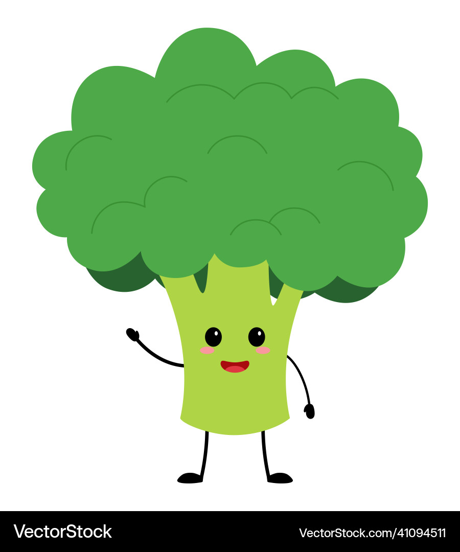 Broccoli Royalty Free Vector Image - VectorStock