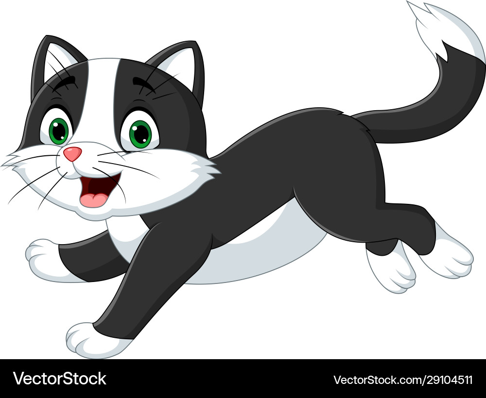 Cartoon black and white cat on background Vector Image