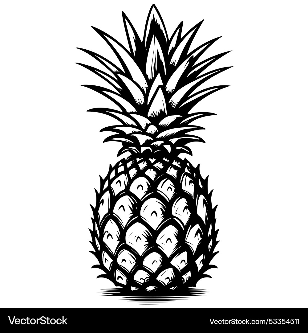 Ink cartoon pineapple hand drawn line Royalty Free Vector