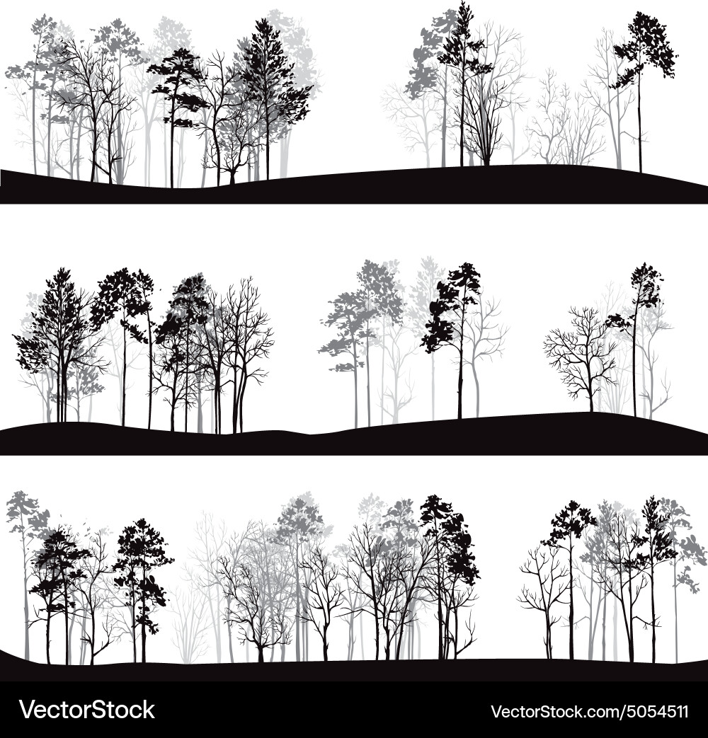 Pine Tree Landscapes Royalty Free Vector Image