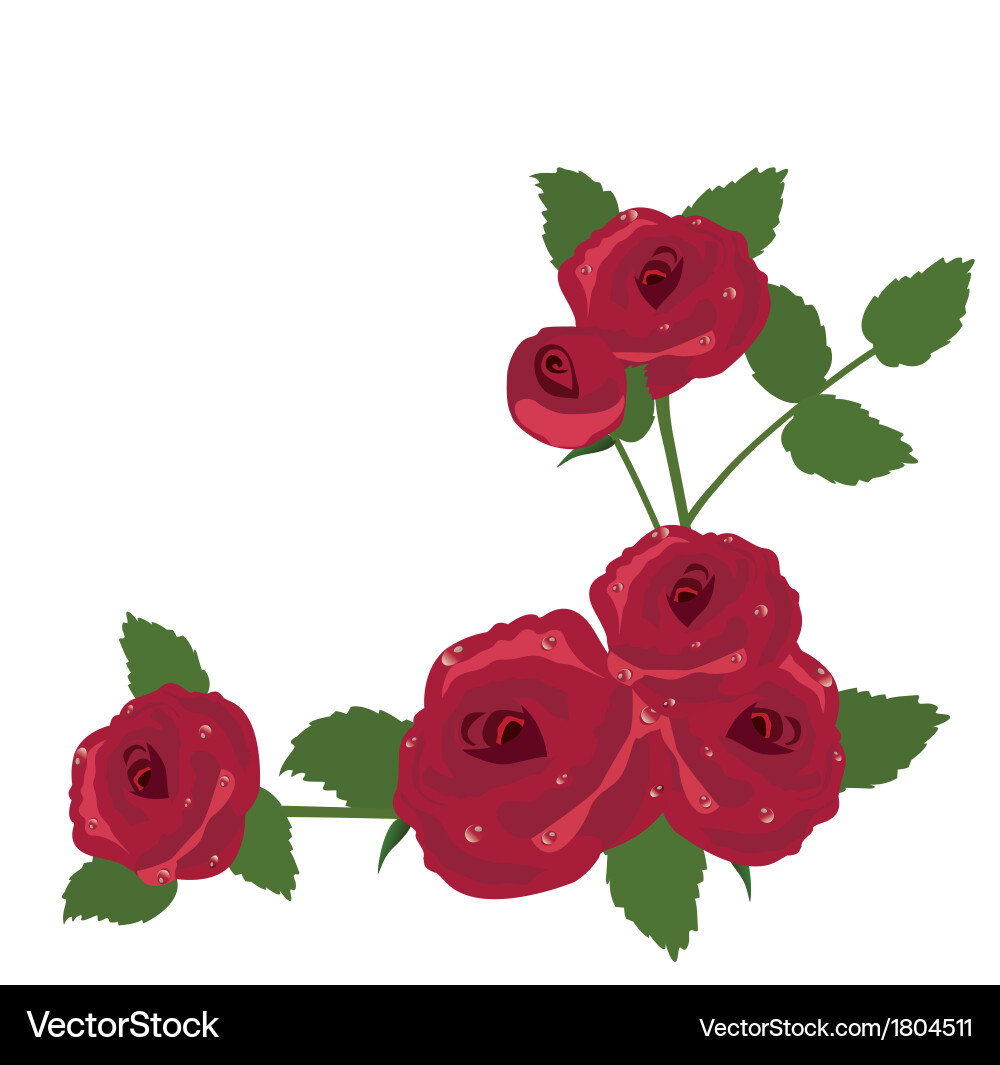 Red Rose Frame Royalty Free Vector Image - VectorStock