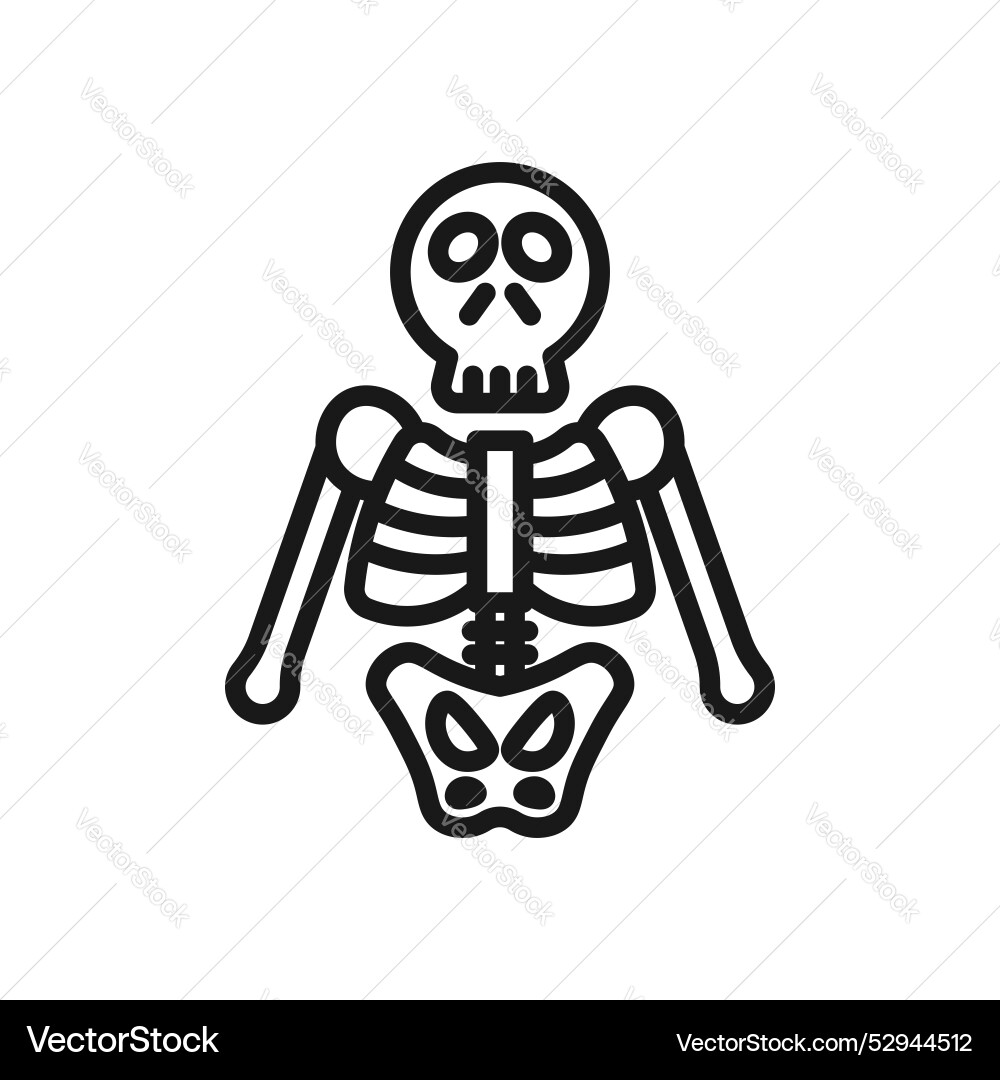 Skeleton icon Royalty Free Vector Image - VectorStock