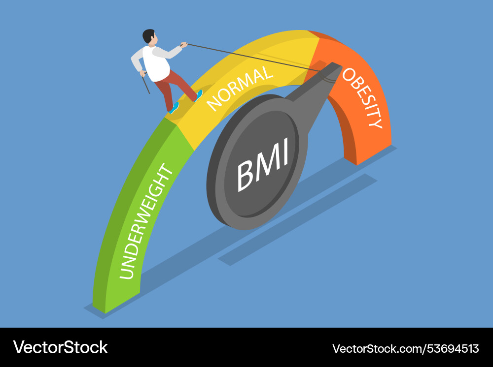 3d isometric flat of body mass Royalty Free Vector Image