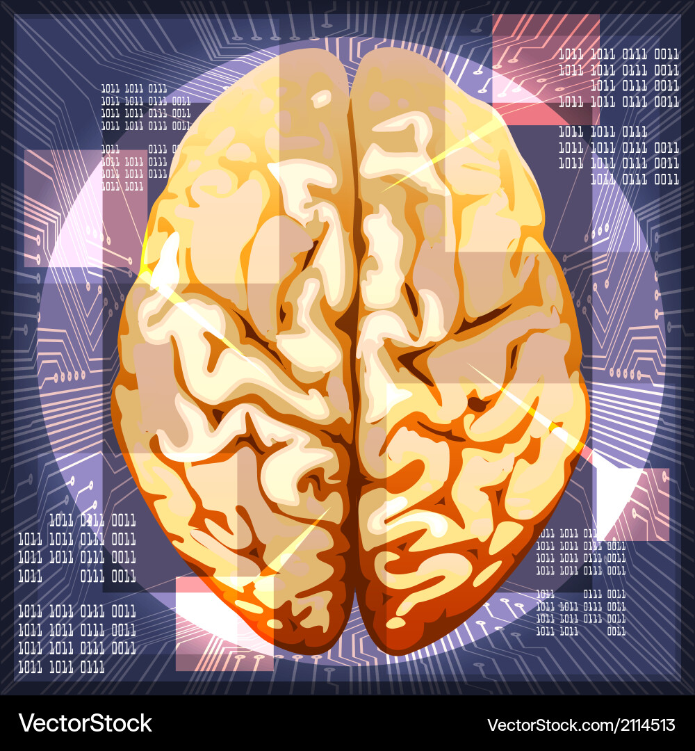 Brain work Royalty Free Vector Image - VectorStock