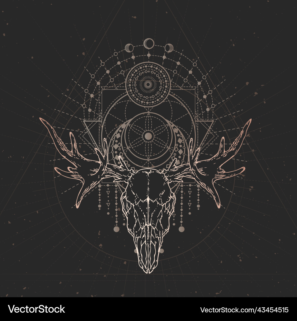 Elk skull Royalty Free Vector Image - VectorStock