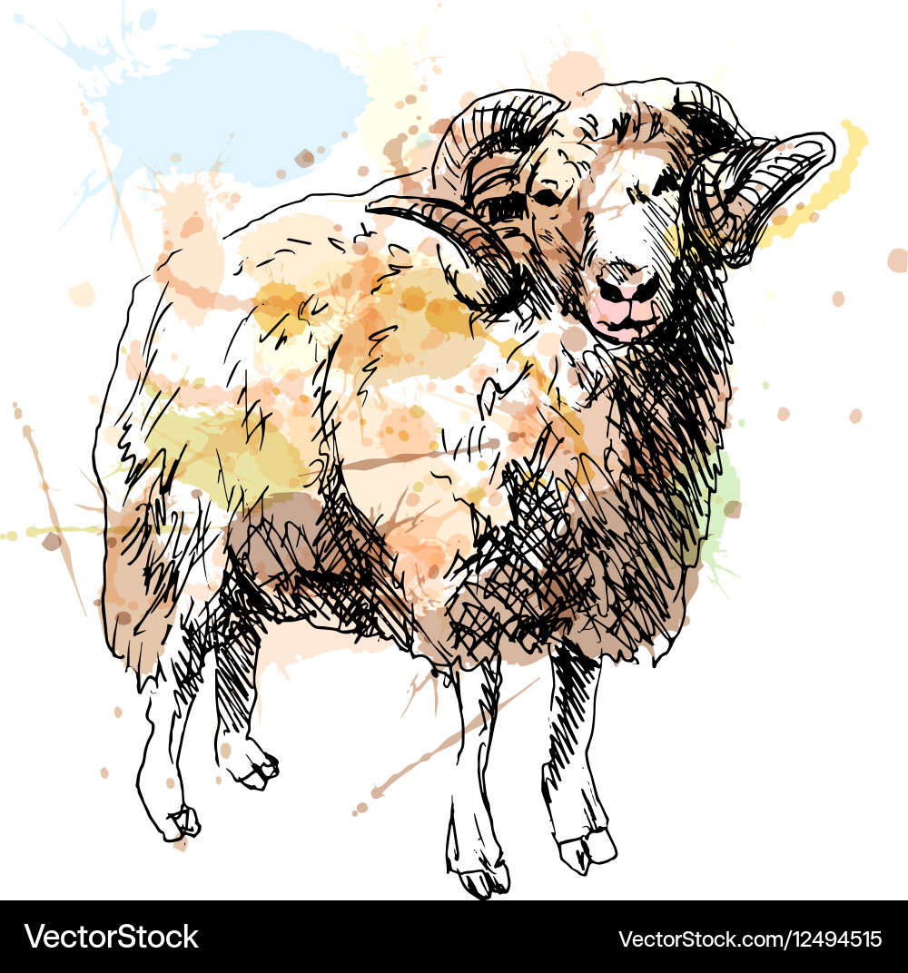 Ram Sketch Vector Images (over 2,600)