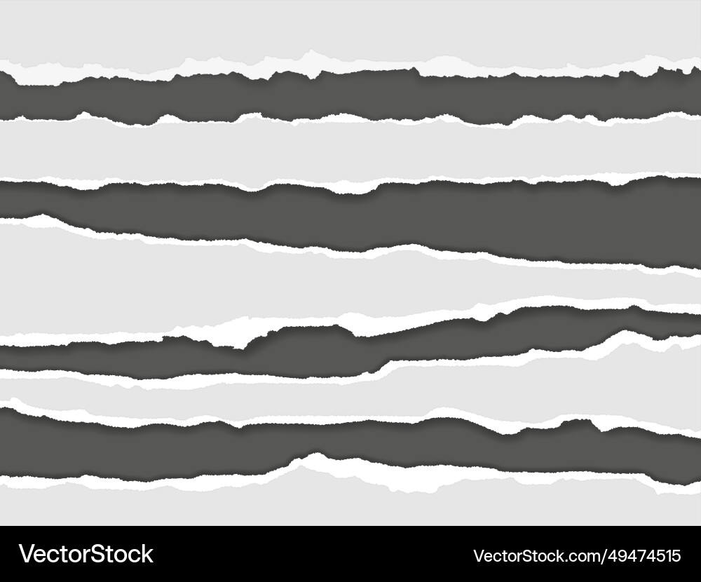 Torn paper divider lines ripped cardboard page Vector Image