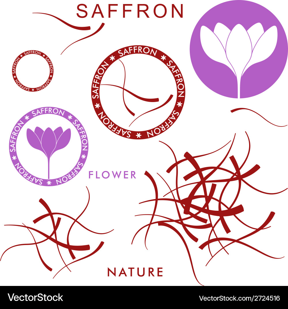 Saffron Blossom Royalty Free Vector Image - VectorStock