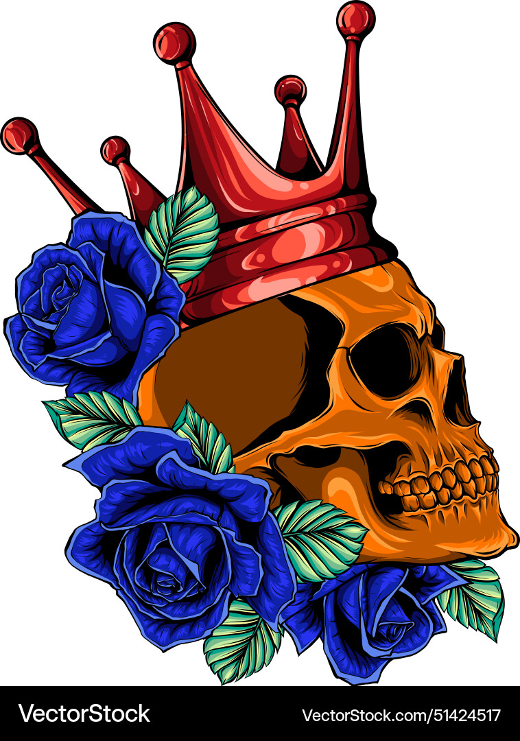 Colored draw of human skull Royalty Free Vector Image