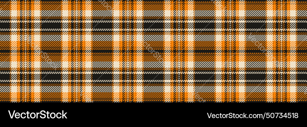 Serene texture pattern fabric baby check tartan Vector Image