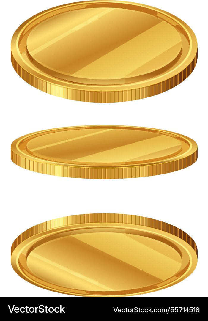 Three shiny gold coins stacked vertically Vector Image