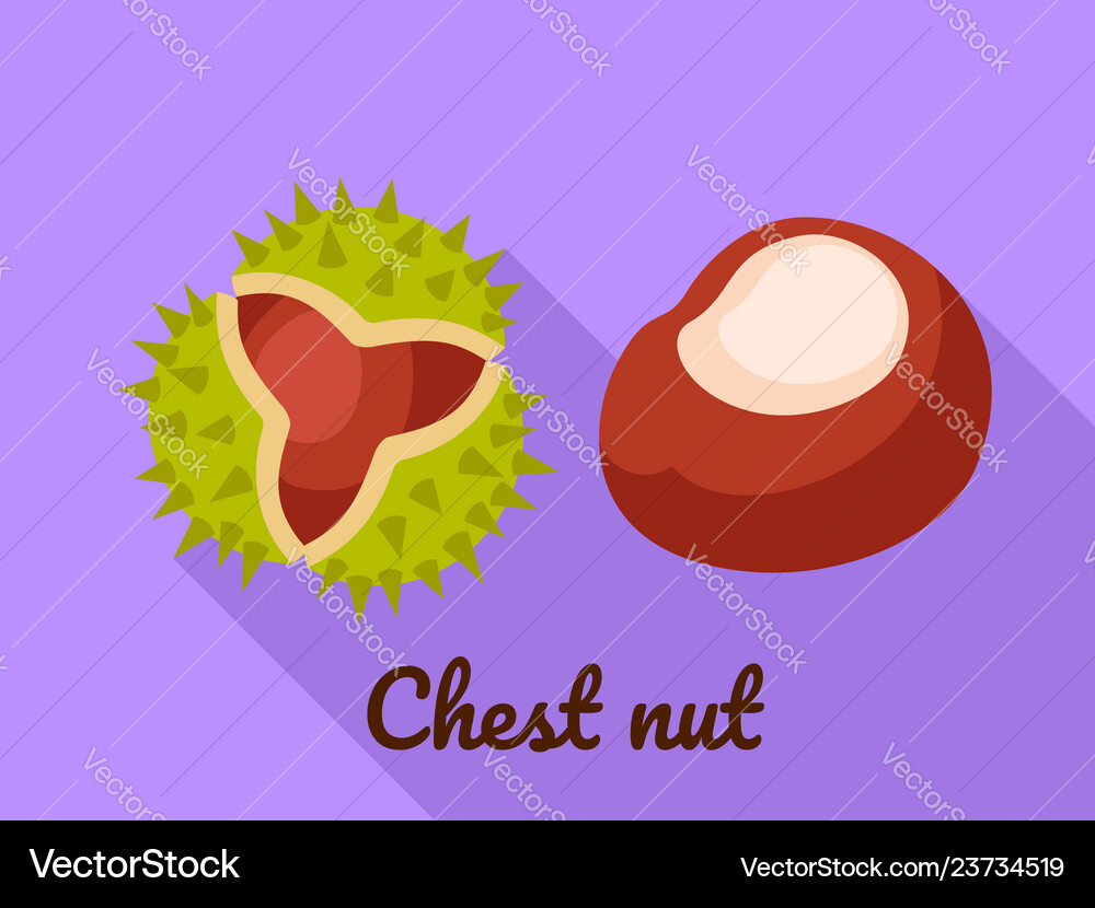 Chest Nut Vector Images (57)