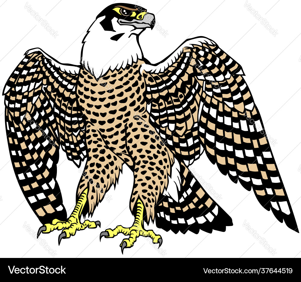 Falcon a hunter with opened its wings Royalty Free Vector
